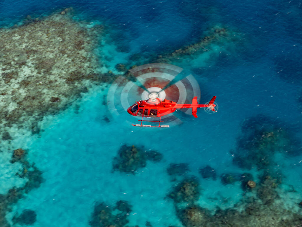 Great Barrier Reef Day Tour with Reef Experience from Cairns | Cairns ...