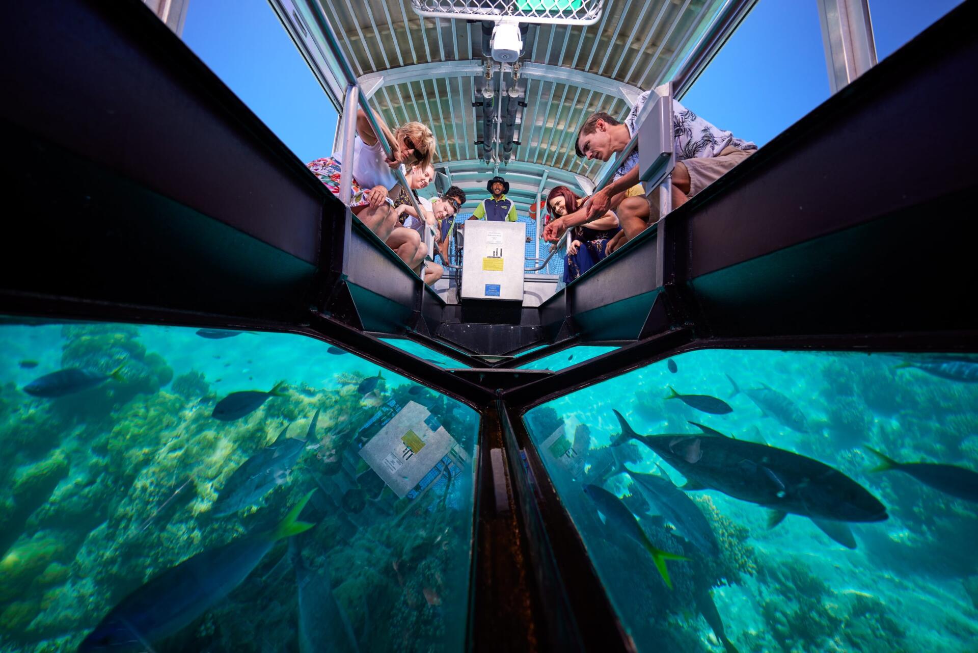 09:00am Green Island Full Day Tour | Cairns Discovery Tours