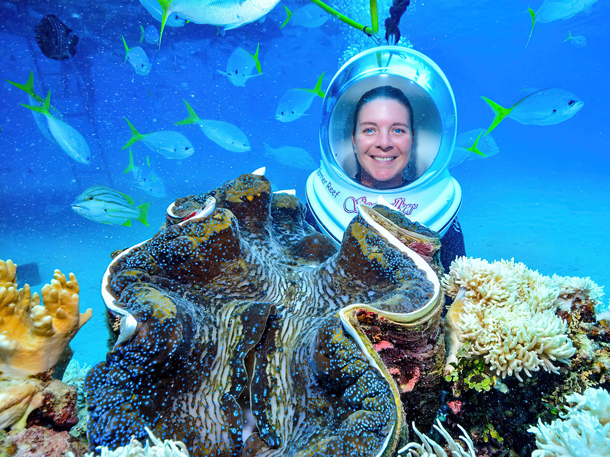 Green Island • Seawalker Helmet Dive Tour | Cairns Discovery Tours
